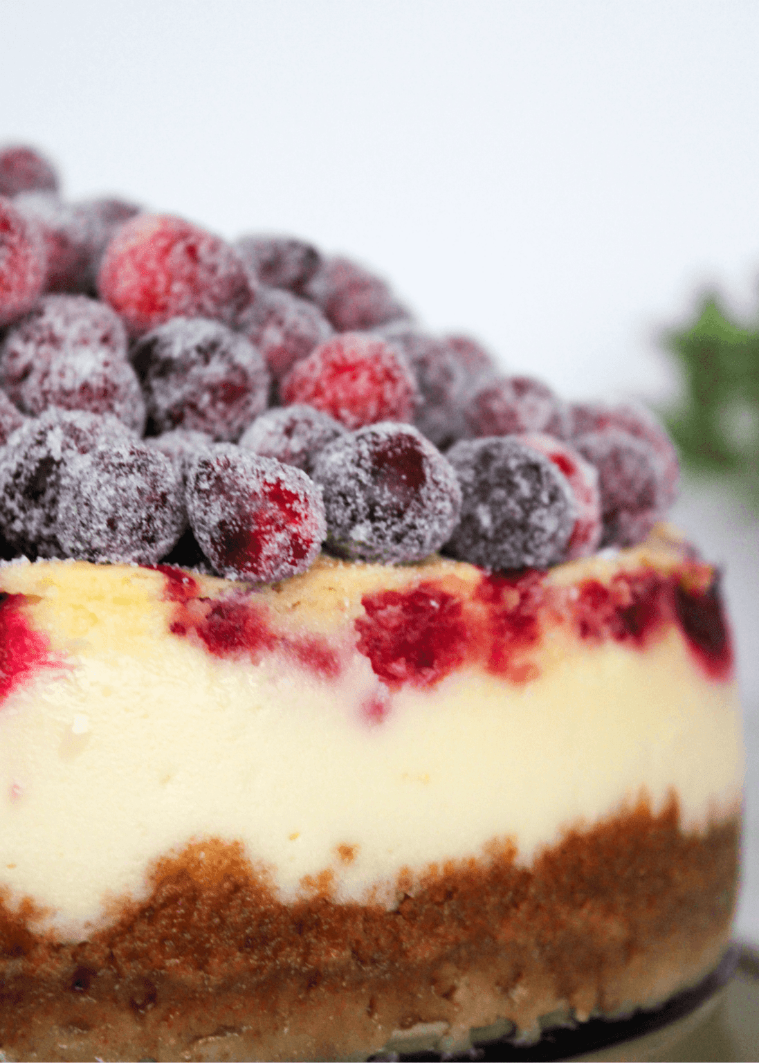Cranberry Cheesecake - Simply Scrumptious