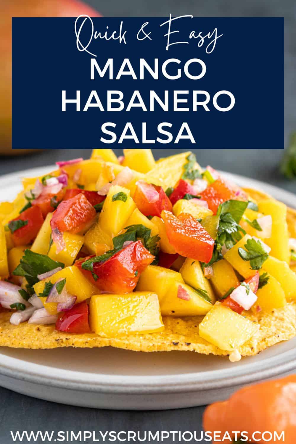 Mango Habanero Salsa - Simply Scrumptious Eats