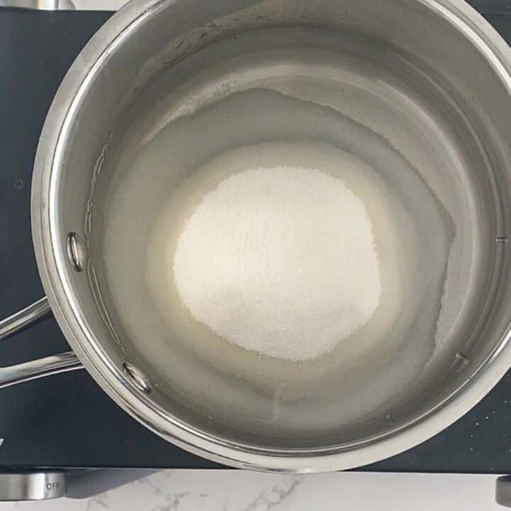 Classic Ocean Spray Cranberry Sauce (Easy) - Simply Scrumptious Eats