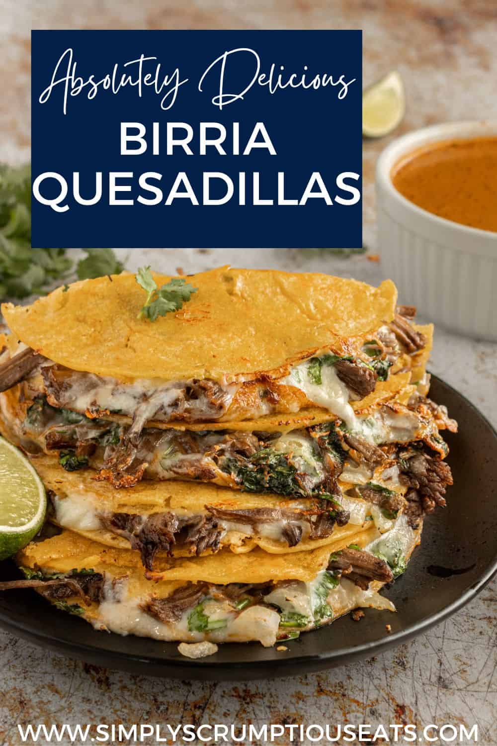 Birria Quesadillas - Simply Scrumptious Eats
