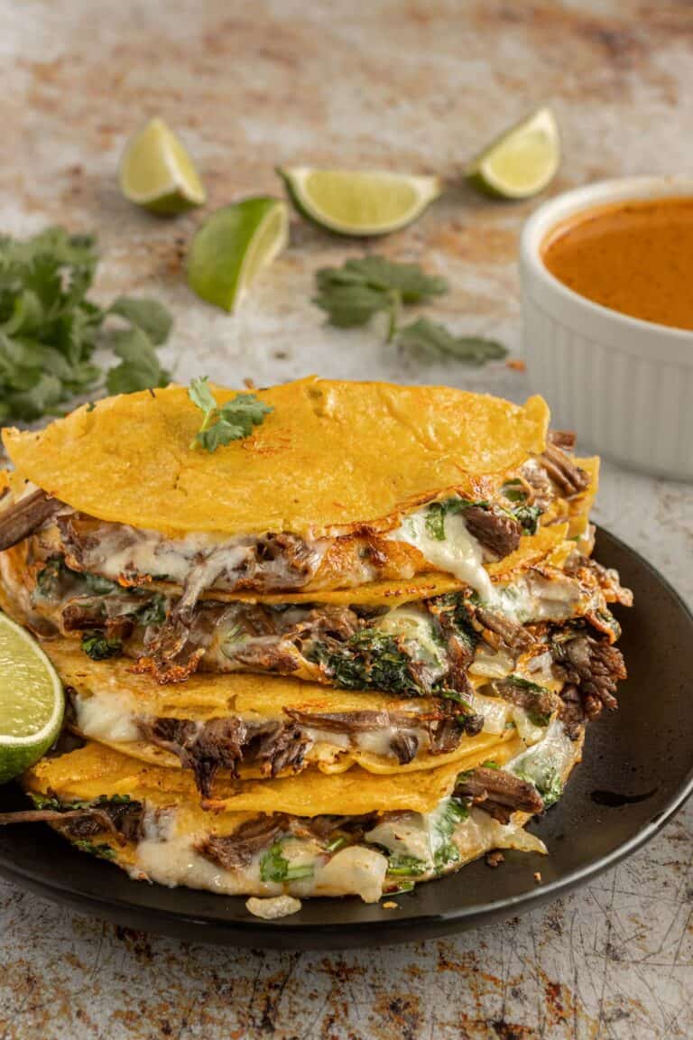Birria Quesadillas - Simply Scrumptious Eats