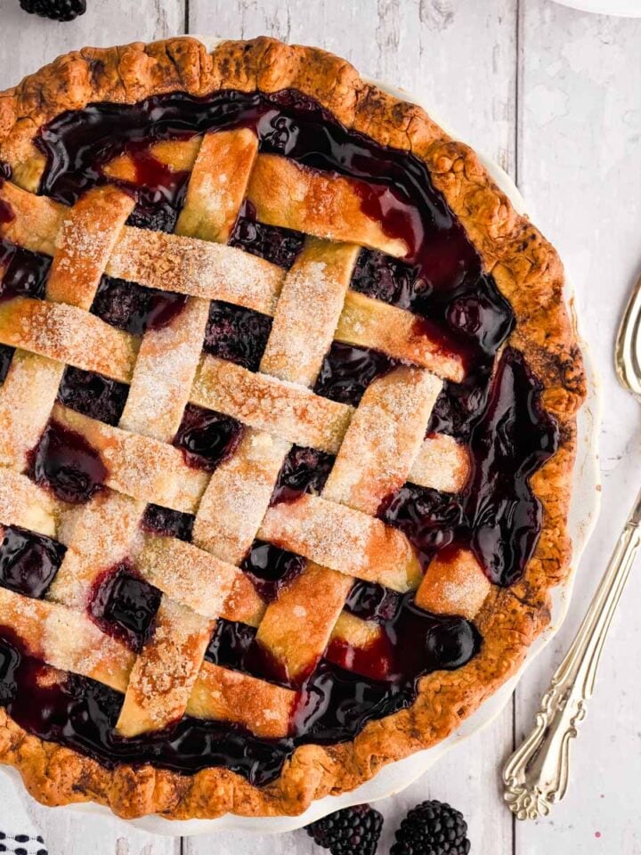 Black Bottom Pie - Simply Scrumptious Eats