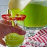 Grinch Punch Recipe - Simply Scrumptious Eats